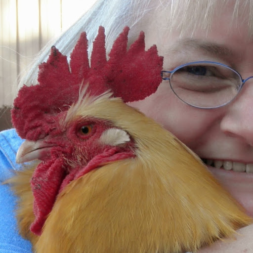 Julie Braschler Phone Number, Address, Age, Contact Info, Public ...