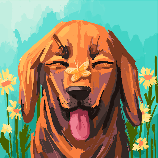 Jennifer Curfman - Age, Phone Number, Address, Contact Info, Public ...