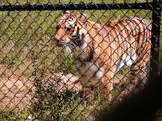 RamblerTrek: Noah's Ark, Locust Grove, Georgia; March 24, 2011