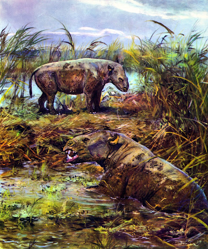 The Lazy Lizard's Tales: Prehistoric Rhinos - An Underrated ...