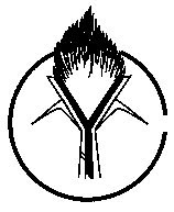 KCYM Archdiocese of Verapoly: About KCYM