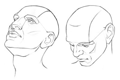 Learning to draw: Human Head