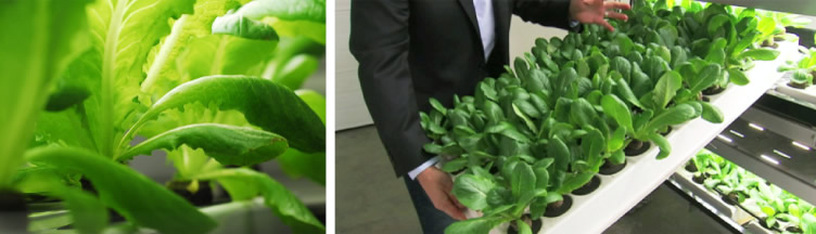 Y-GREEN: TerraSphere Systems Canada - Social Media Press Release