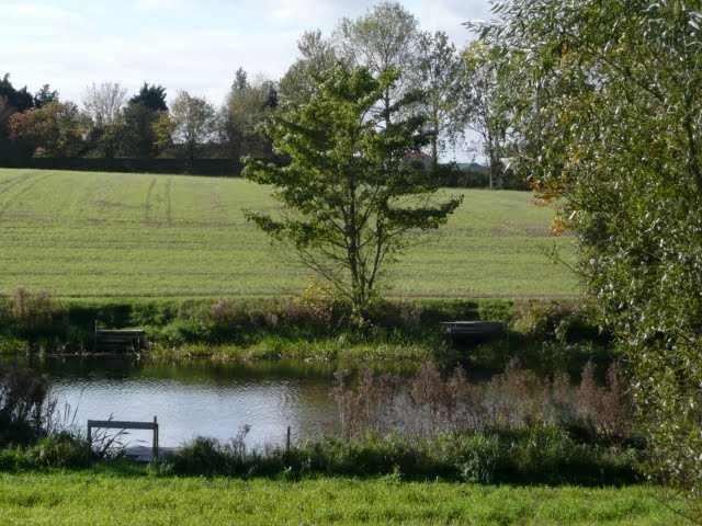 A Walk along the Bure Valley Path ~ Griffmonsters Great Walks
