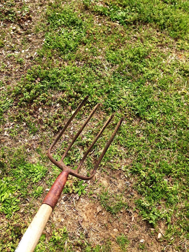 Most used garden tool | Arborist, Chainsaw & Tree Work Forum