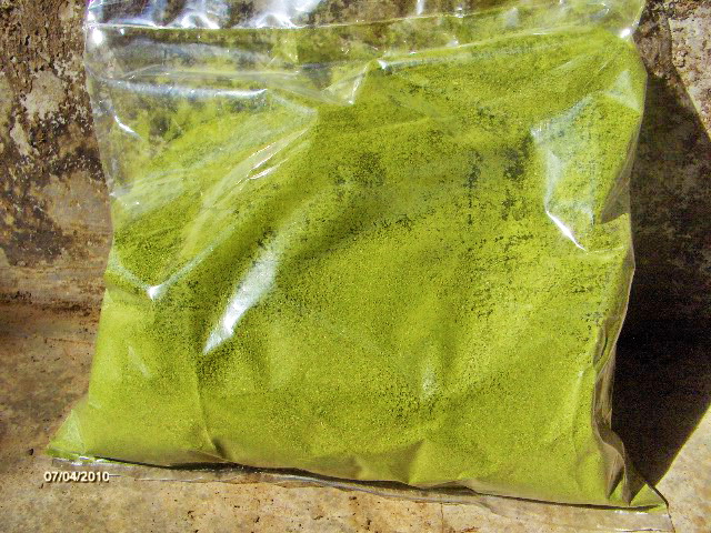 Ashitaba powder ~ Skepat Lombok