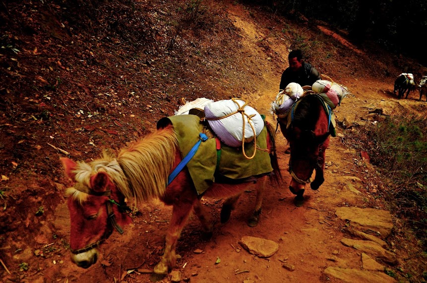 the last shangri-la – hike to Tango Goemba | jabberwocky