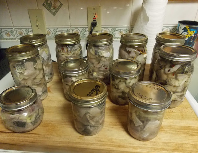Pickled Shad | North Carolina Hunting and Fishing Forums