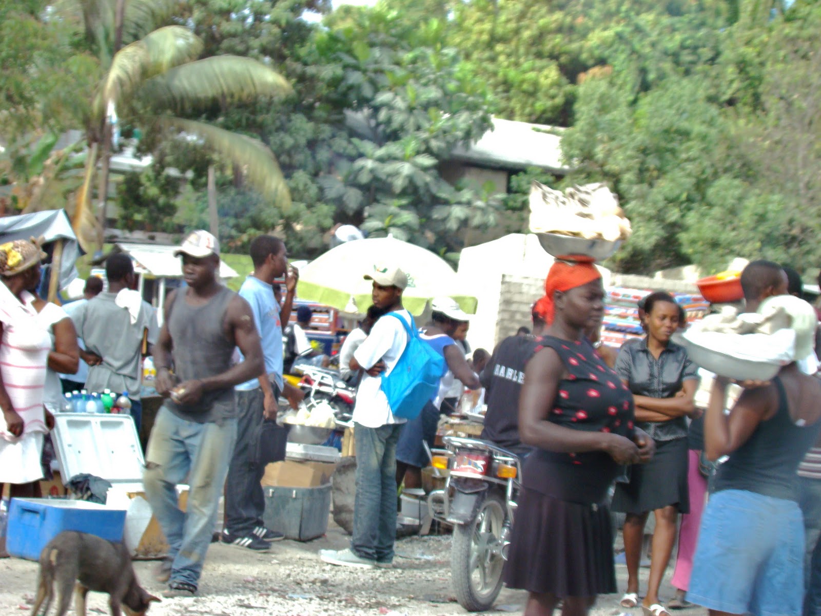 Medical Miracles in Haiti: Photos Capture Daily Life in Haiti