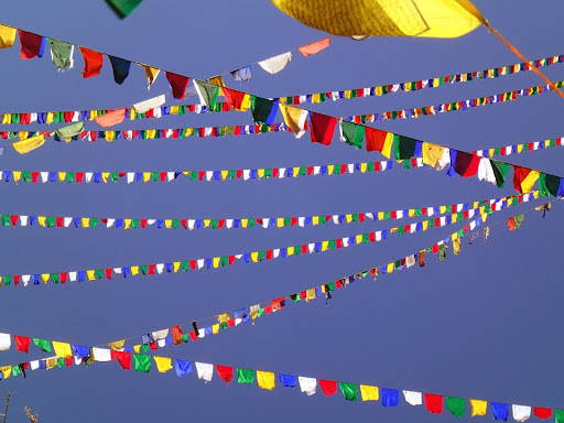 bhutan | I Prefer to Enjoy It | Page 2