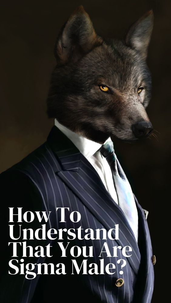 Understand Sigma Male; Characteristics, Traits, And Rules Understand Sigma Male; Characteristics, Traits, And Rules
