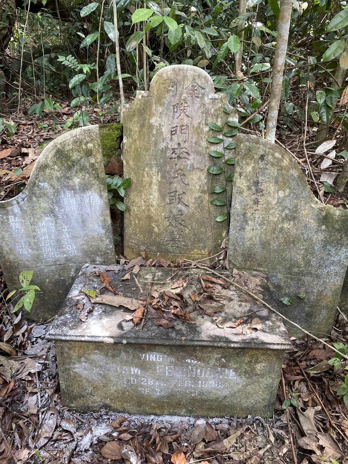 Tan Chin Chew and Lee Choo Neo