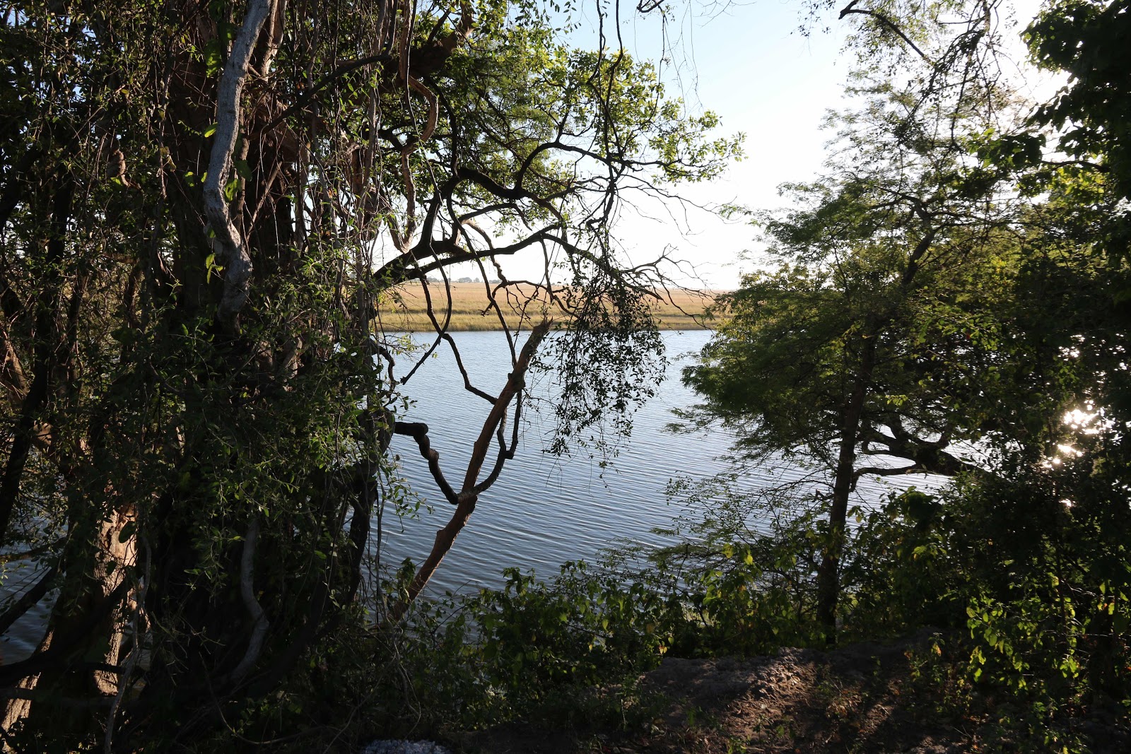 Namibia + Botswana Reise 2019: Von Nata nach Kasane / Chobe ...