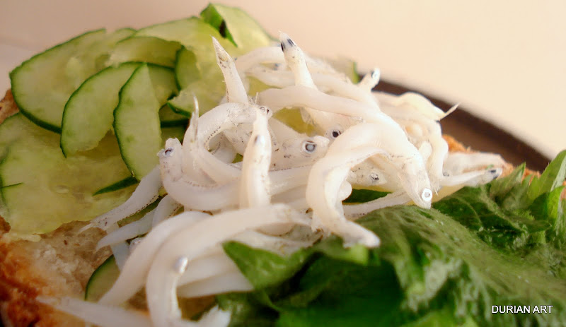 shirasu fish bait | GOURMANDE in OSAKA