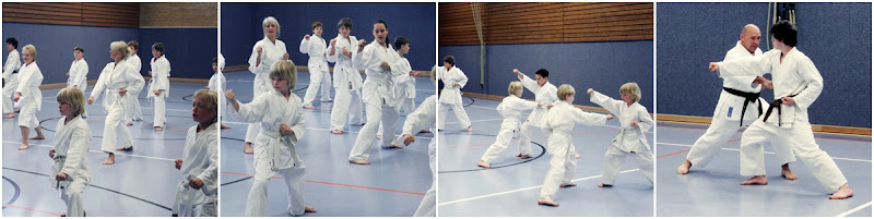 26 Shotokan-Kata ~ Karate-Do Hambühren