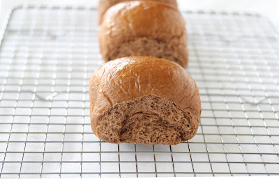 Chocolate bread rolls - Kirbie's Cravings