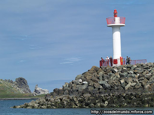 Zoos del Mundo - Howth (Dublín, Irlanda): Focas grises y aves marinas ...