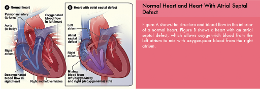 Beads for Heartbeats Campaign: The Issue