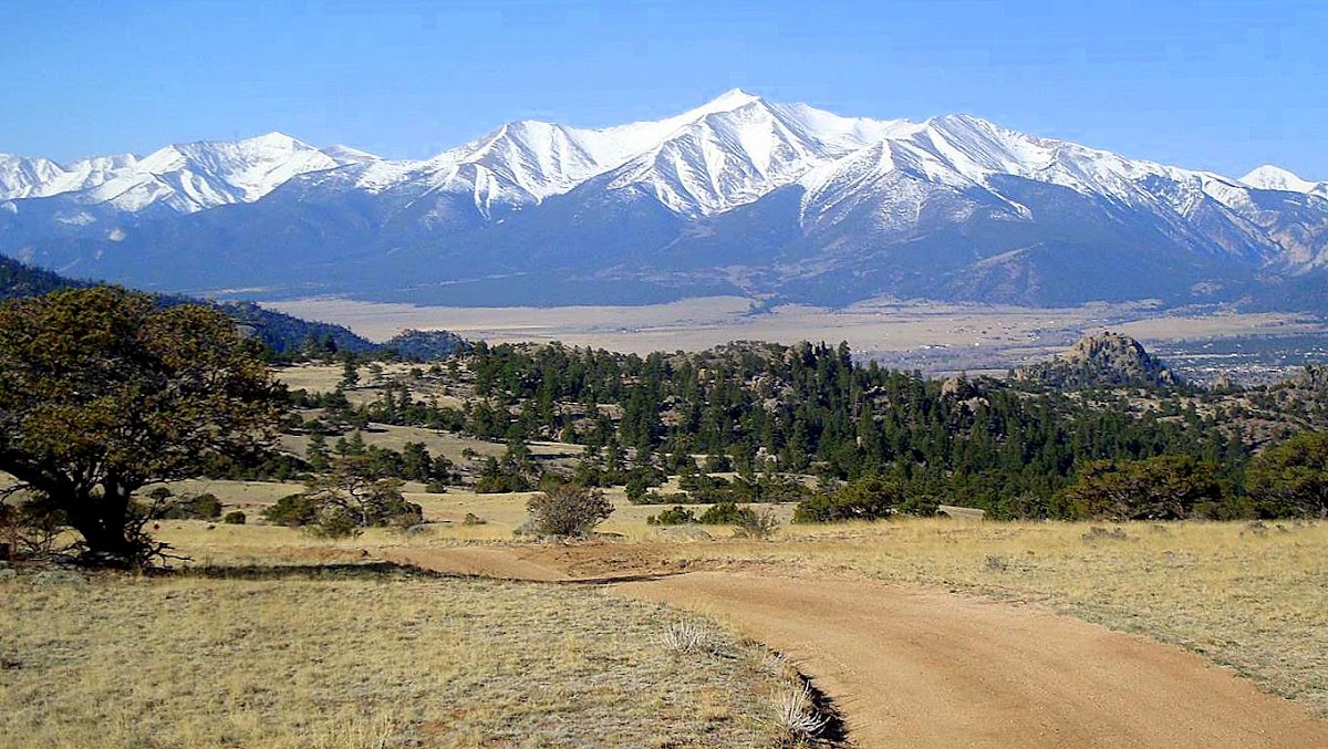Race Report: Collegiate Peaks 50 Mile | The Scene Begins