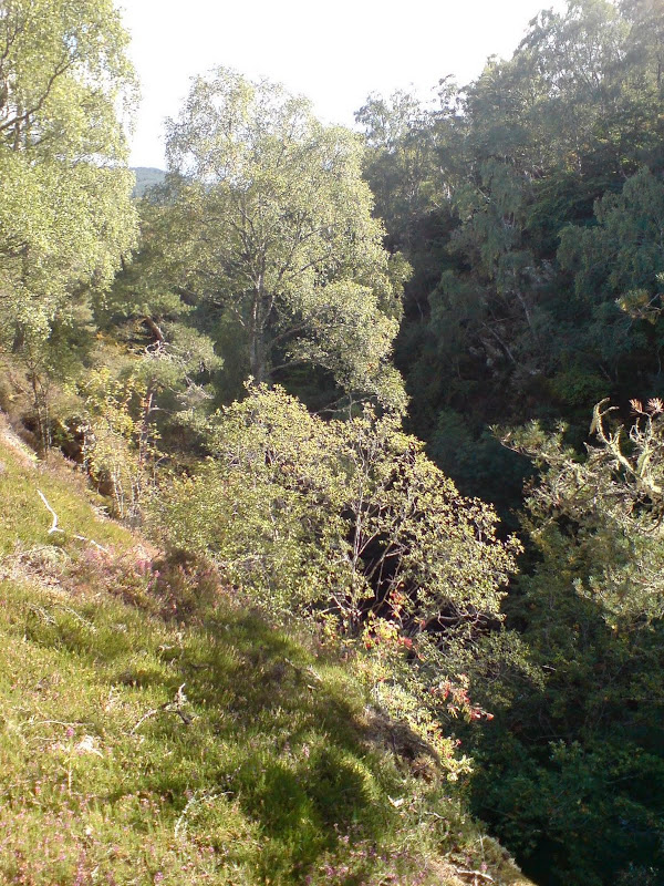 Walk Report - Torr Achilty and a pedal round Easter Ross (Sept 2009 ...