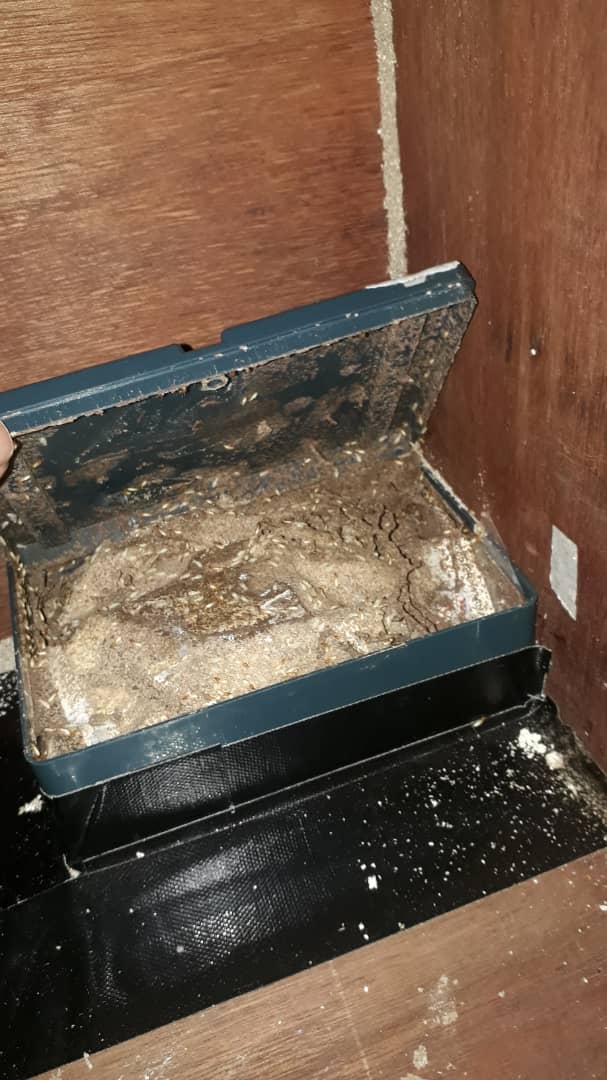 Steadfast Pest Management Sdn. Bhd. di bandar Kuala Lumpur