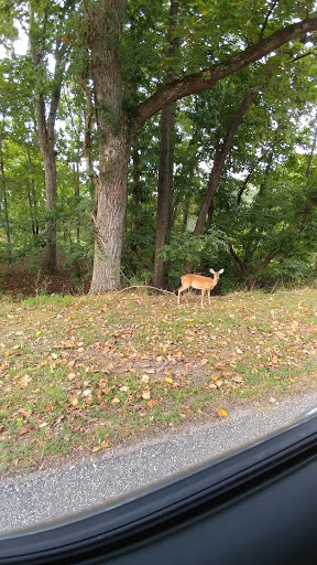 Naval Weapons Station Yorktown - Cheatham Annex Recreation Area in ...