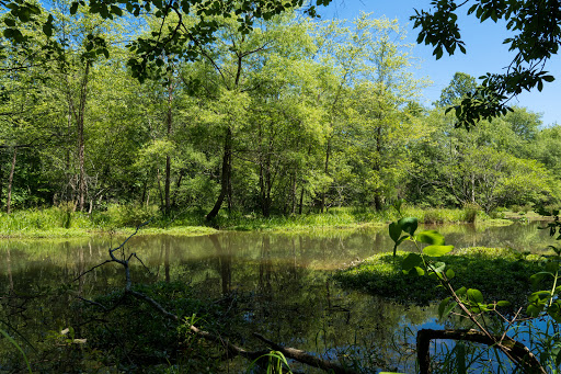 Hiking Area «Gold Branch Trail», reviews and photos, 6156 Lower Roswell ...