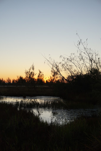 Waddy Point Beachfront Campground in Fraser Island (K'gari), Queensland ...