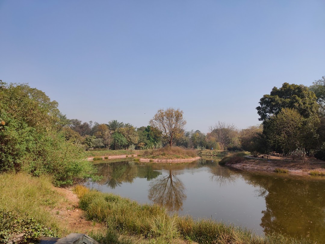 The Serenity Library & Botanical Garden in the city Gandhinagar