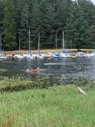 Baker Bay Campgrounds & Marina in Dorena, Oregon - Zaubee