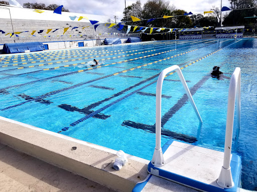 Bobby Hicks Pool in South Tampa, Tampa, Florida - Zaubee