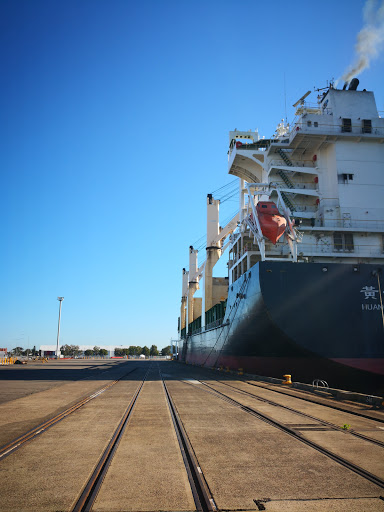 Pioneer Shipping Co - Shipping Service