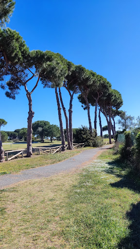 Paraje natural Del Río piedra (El Rompido)