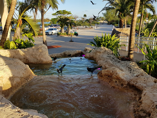 Park «Historic Virginia Key Beach Park», reviews and photos, 4020 ...