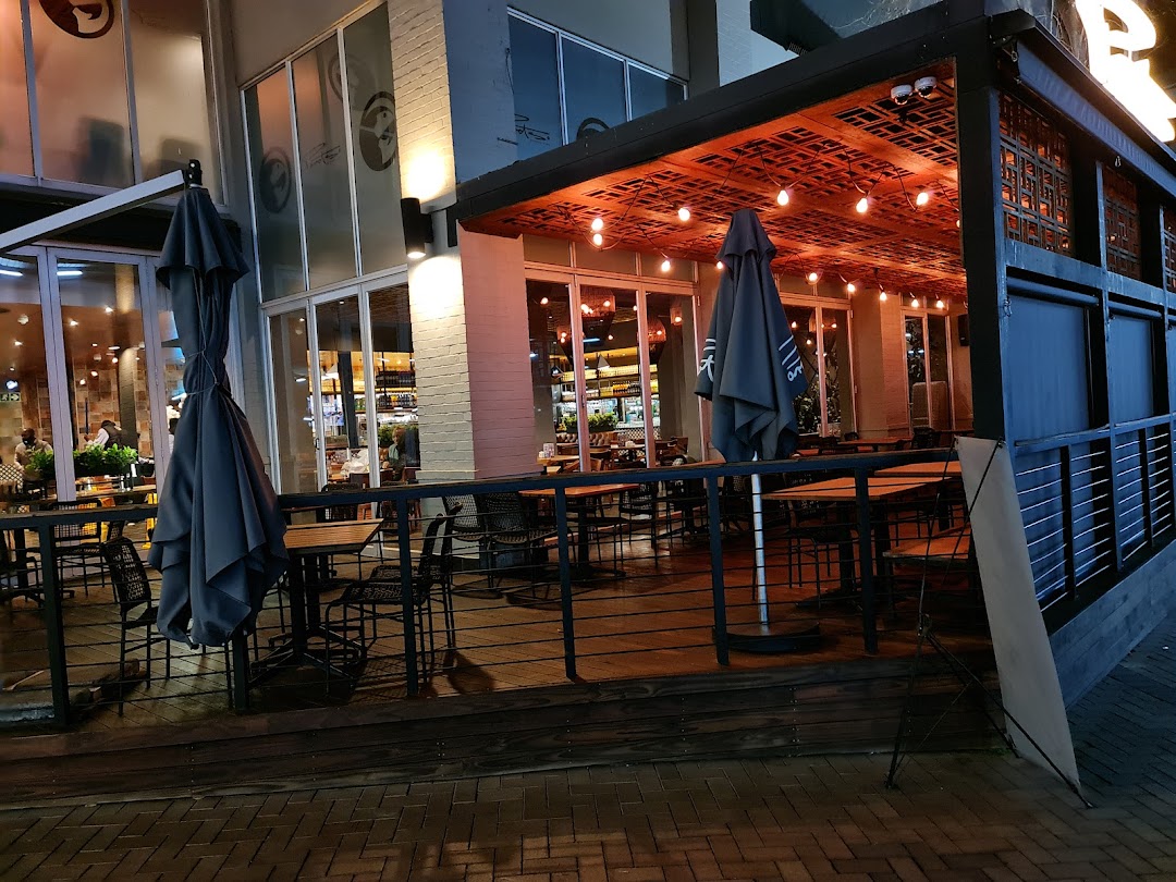 Parrots clearwater in the city Roodepoort