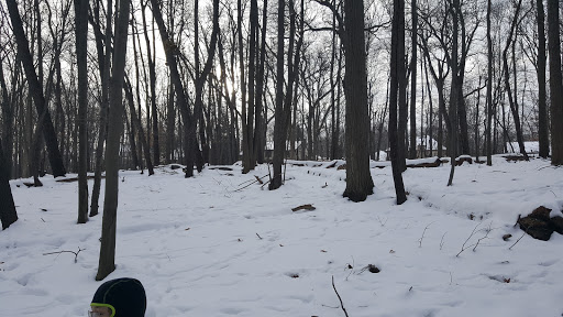 Nature Preserve «Stage Nature Center», reviews and photos, 6685 ...