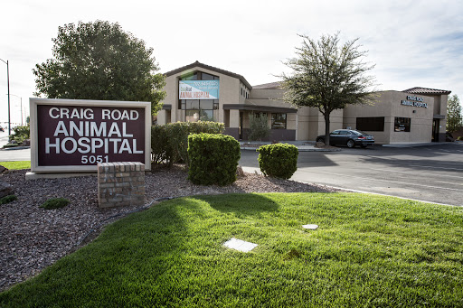 Animal Hospital «Craig Road Animal Hospital», reviews and photos