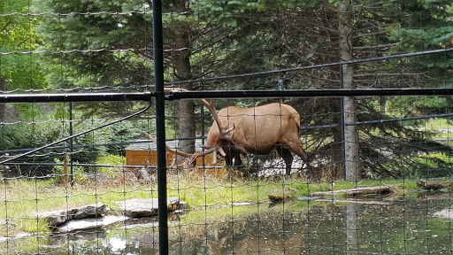 Zoo «Thompson Park Zoo and Conservancy», reviews and photos, 1 Thompson ...