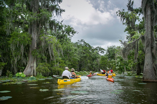 St. Martin Parish Tourism - AZexplained