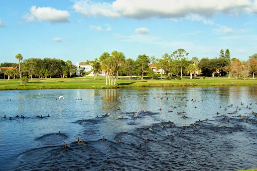 Private Golf Course «Pasadena Yacht & Country Club», reviews and photos ...
