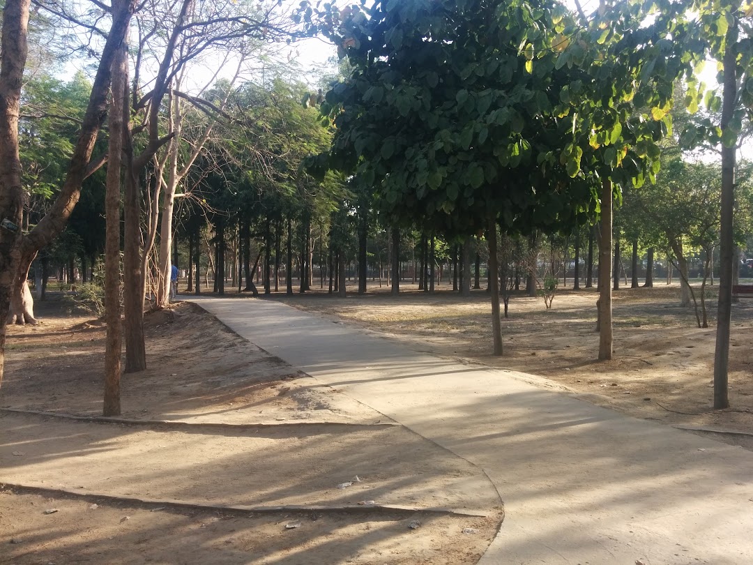 Subhash Chandra Bose Park(HUDA PARK) in the city Gurugram
