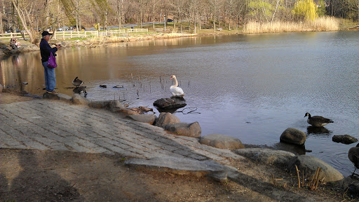 Park «Alley Pond Park», reviews and photos, Union Tpke, Oakland Gardens ...