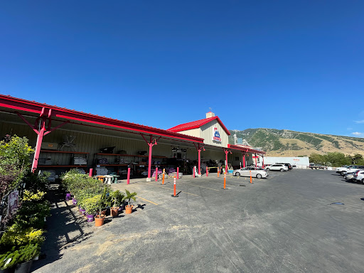 Animal Feed Store «IFA Country Stores», reviews and photos, 1071 ...