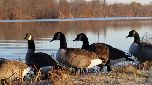 State Park «Riverfront State Park», reviews and photos, Everett St ...
