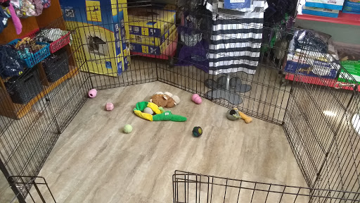 Pet Store «Animal House», reviews and photos, 7869 Hamilton Ave ...