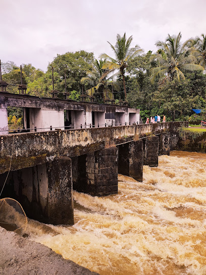 Mutty Palam - M45R+H9X, Puliyannoor, Kerala - Zaubee