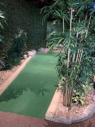 Rainforest Adventure Golf in Dundrum, Dublin, - Zaubee