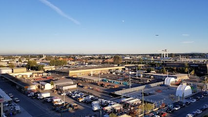 Cineplex Odeon International Village Cinemas - Movie theater ...