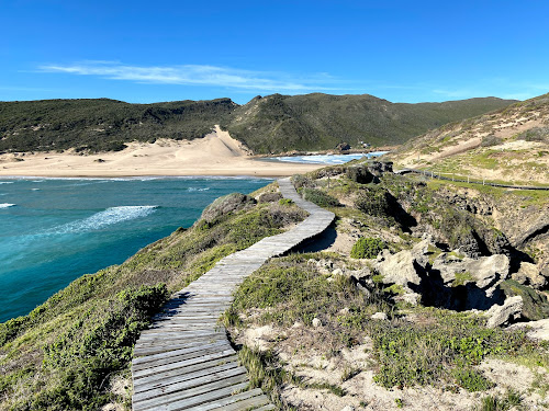 Robberg reserve beach 🏖️ Plettenberg Bay, Western Cape, South Africa ...