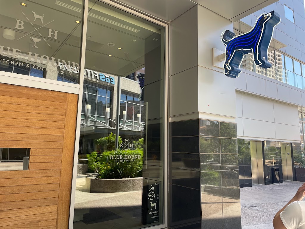 Blue Hound Kitchen & Cocktails - Phoenix, AZ 85004 - Menu, Hours ...